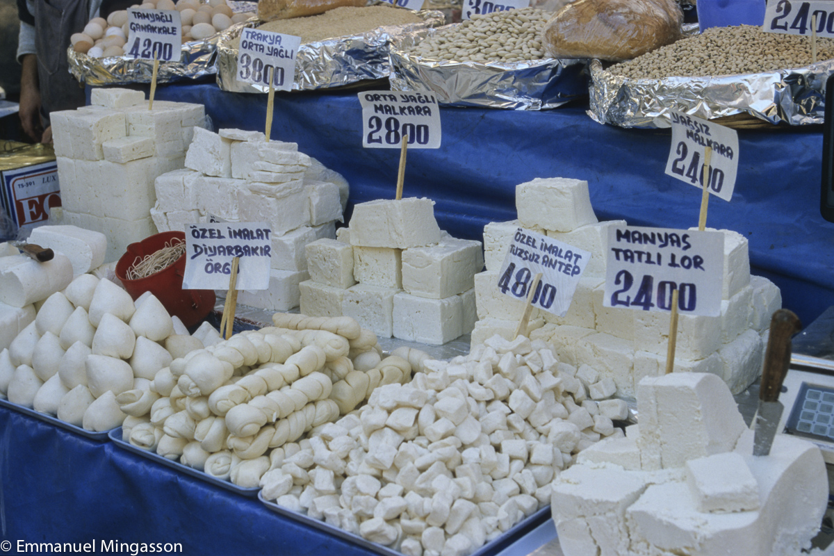 Turquie – Un an sur la route du lait