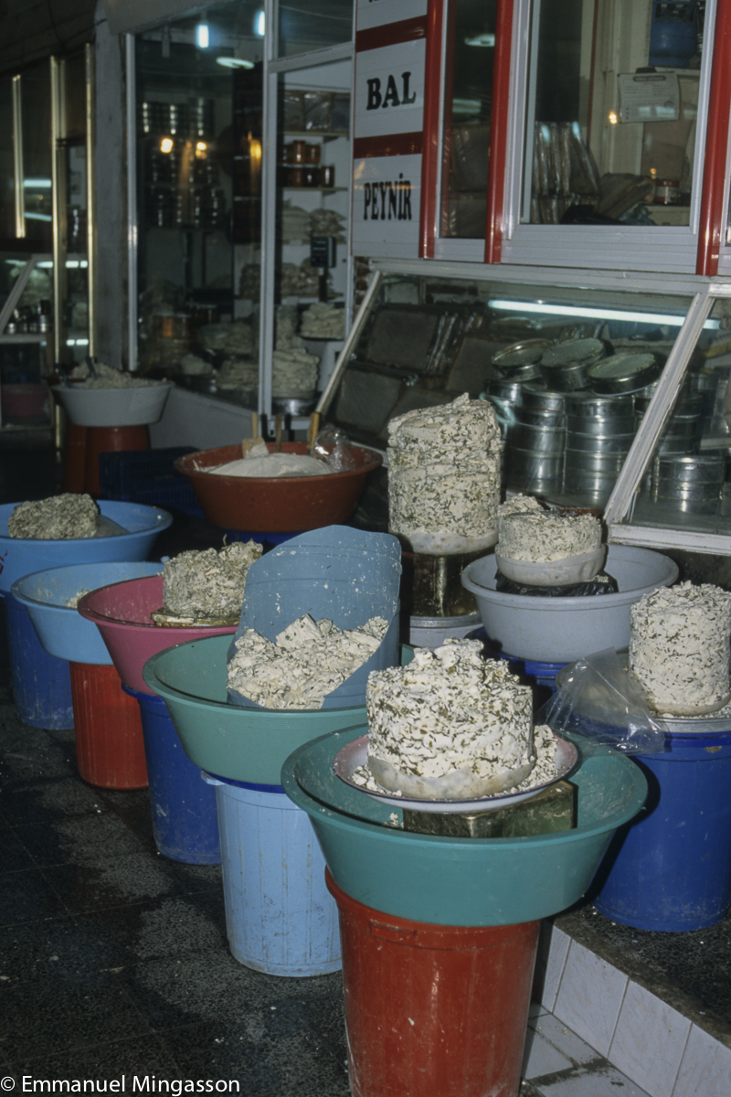 Turquie – Un an sur la route du lait